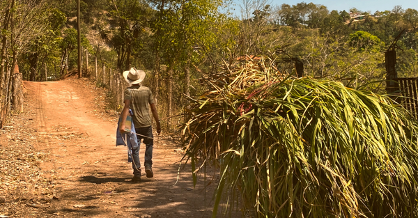 How to care Natural Fibers & Leather: Embrace the Art of Woven Craft ...